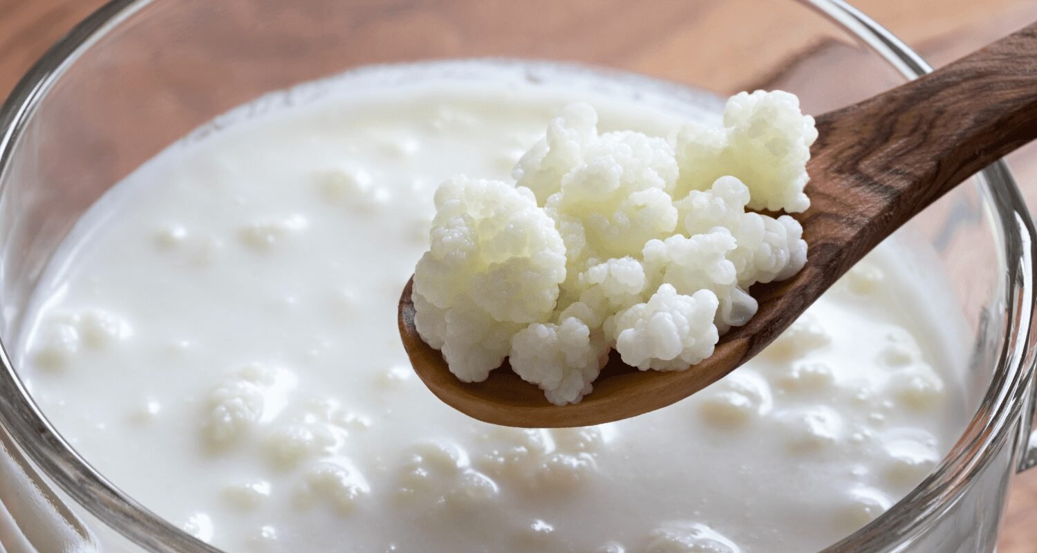 Guide sur le Kéfir de lait : Boisson fermentée naturelle