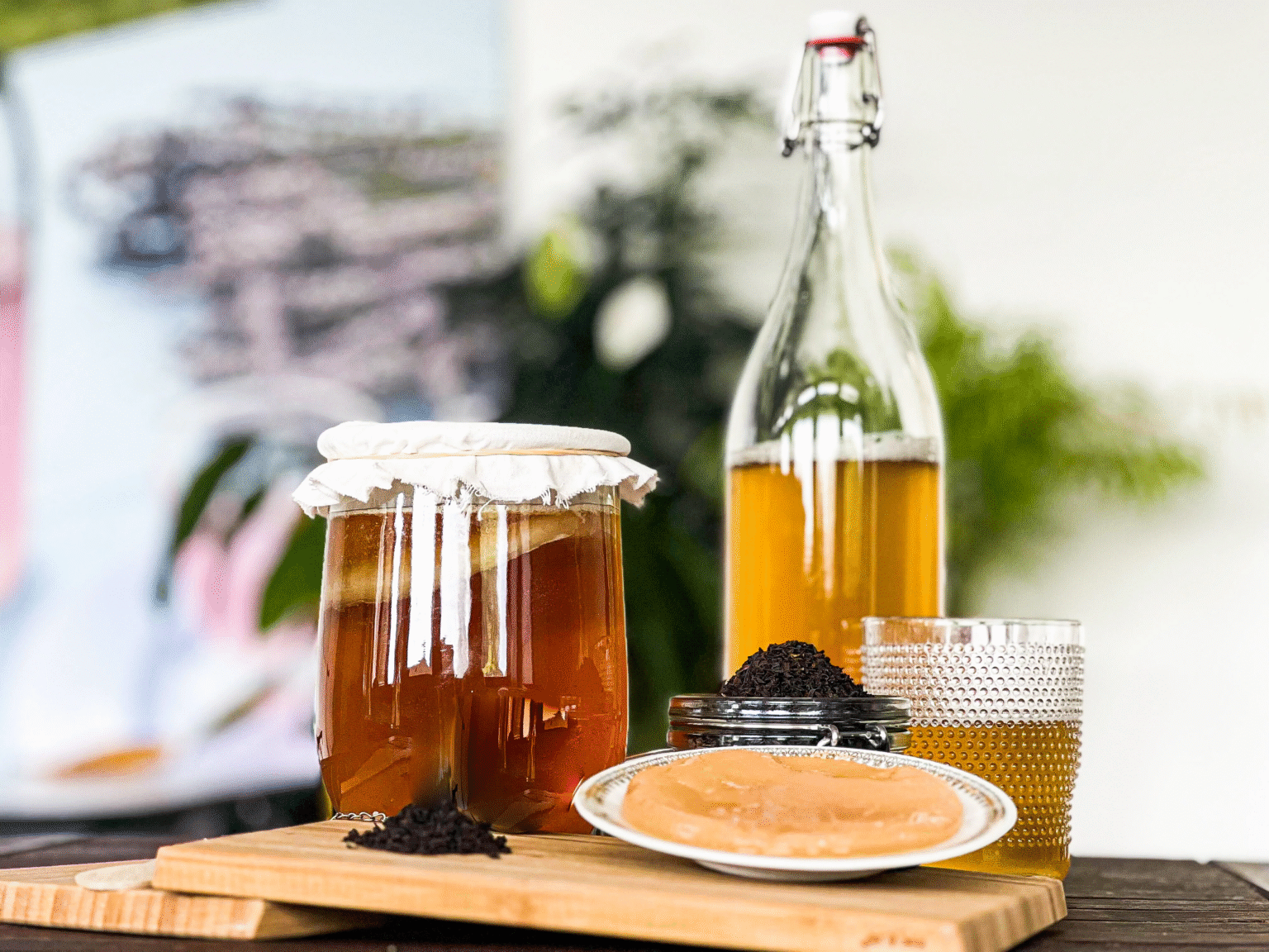 Qu’est-ce qu’un SCOBY de kombucha exactement ? – Natural Probio